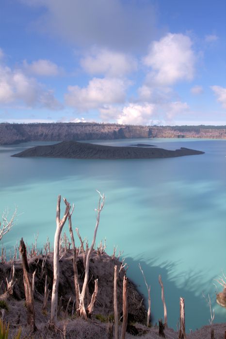 © YASHMIN CHEBLI - Terms and conditions