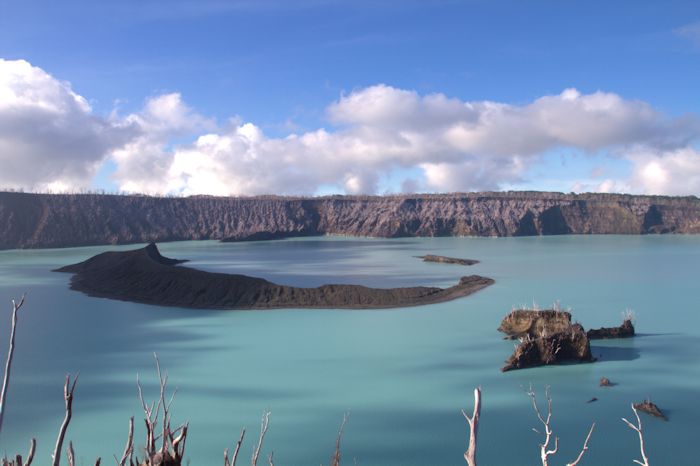 © YASHMIN CHEBLI - Terms and conditions