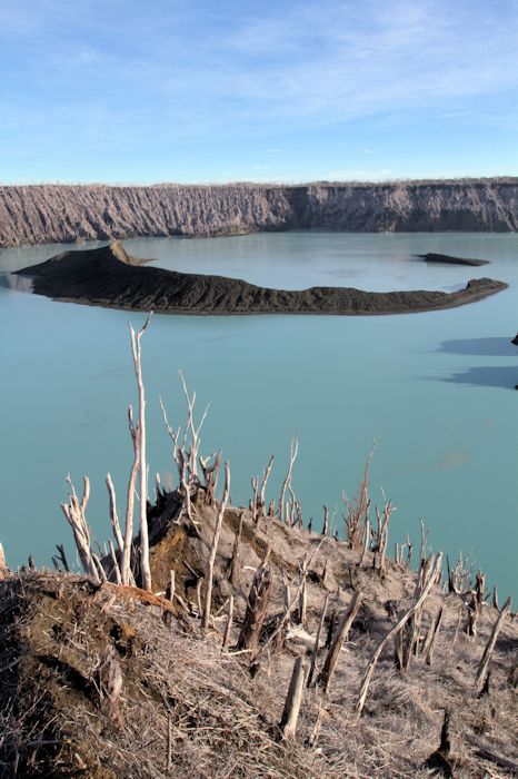 © YASHMIN CHEBLI - Terms and conditions